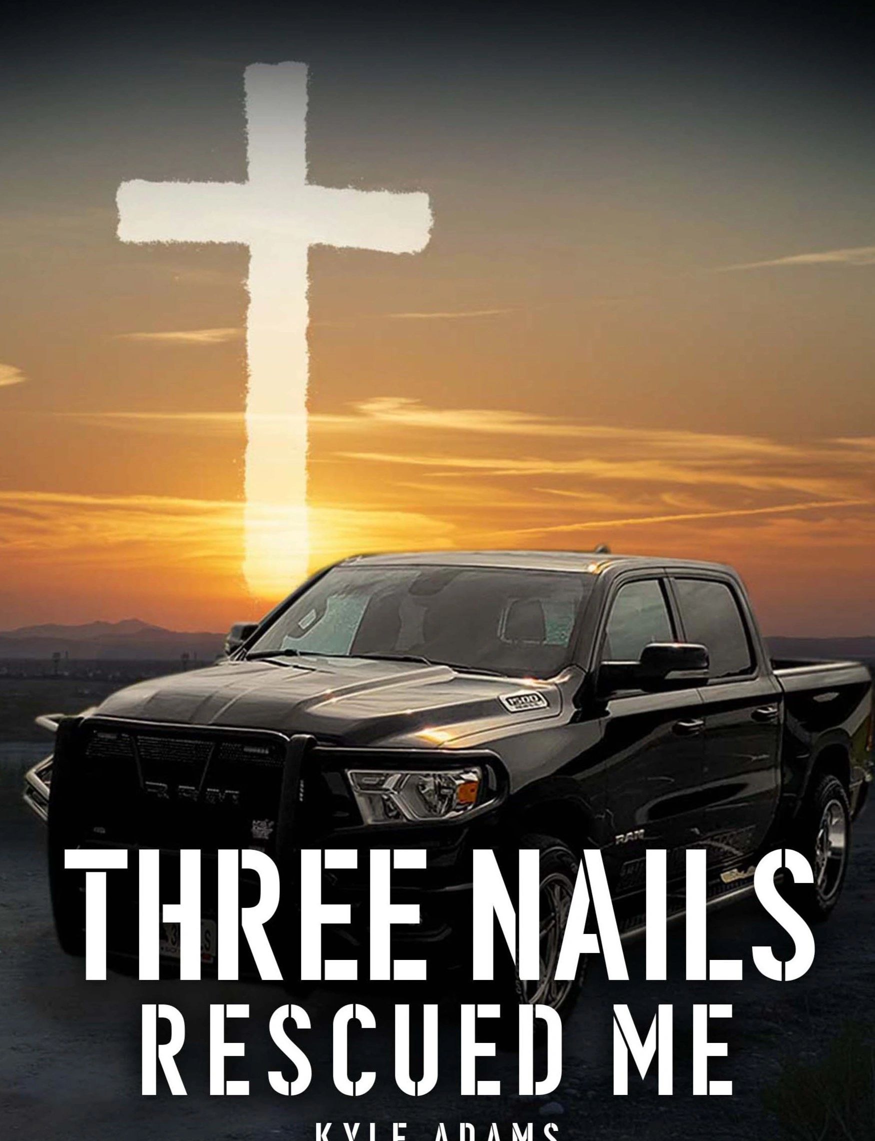 Gallery | Three Nails Rescued Me